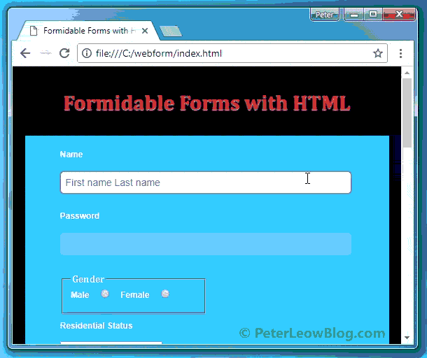 Formidable Forms with HTML